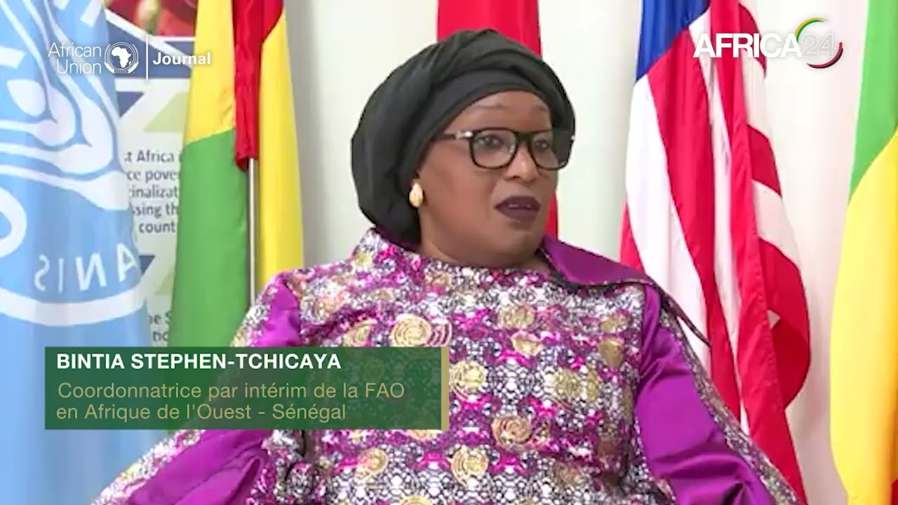 Afrique : Bintia Stephen-Tchicaya prône la résilience, l'inclusion et l ...