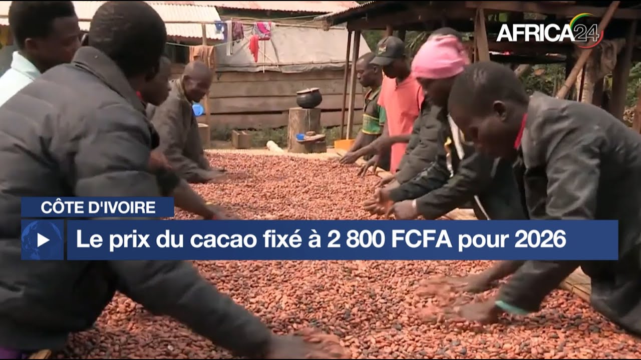 Côte d’Ivoire : Le prix du cacao fixé à 2 800 FCFA pour 2026 | Africa24 TV