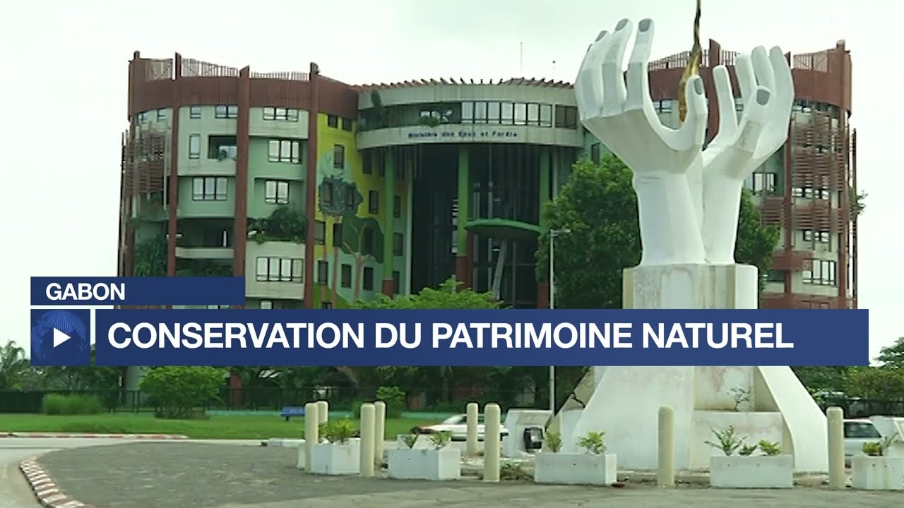 Gabon - conservation du patrimoine naturel : « Gabon Infini », la ...