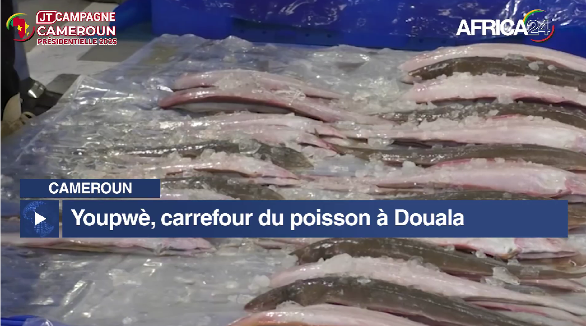 Cameroun : Youpwè, carrefour du poisson à Douala | Africa24 TV